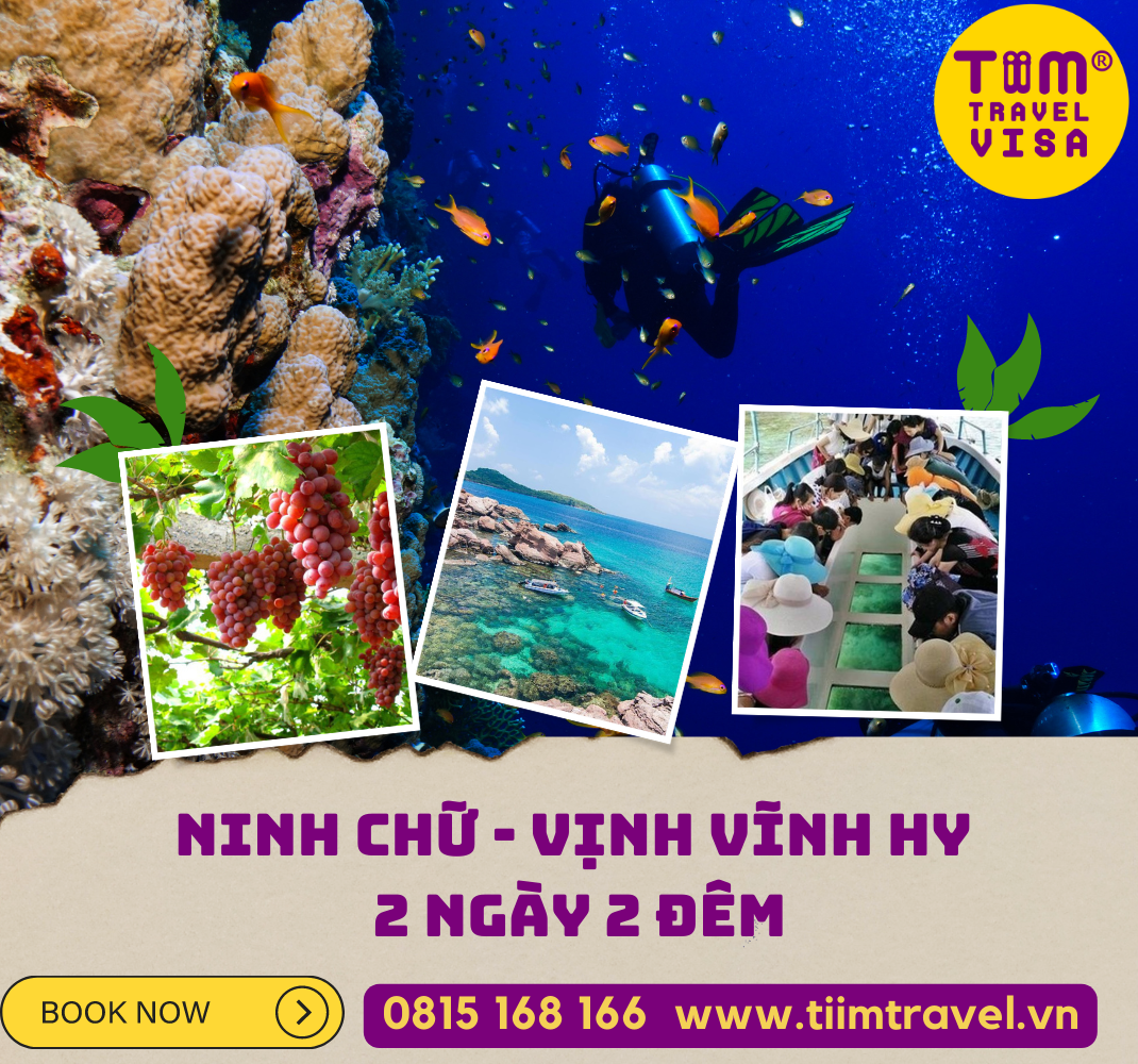 Cổ Thạch – Ninh Chữ - Vĩnh Hy (Lặn Ngắm San Hô) 2 ngày 2 đêm